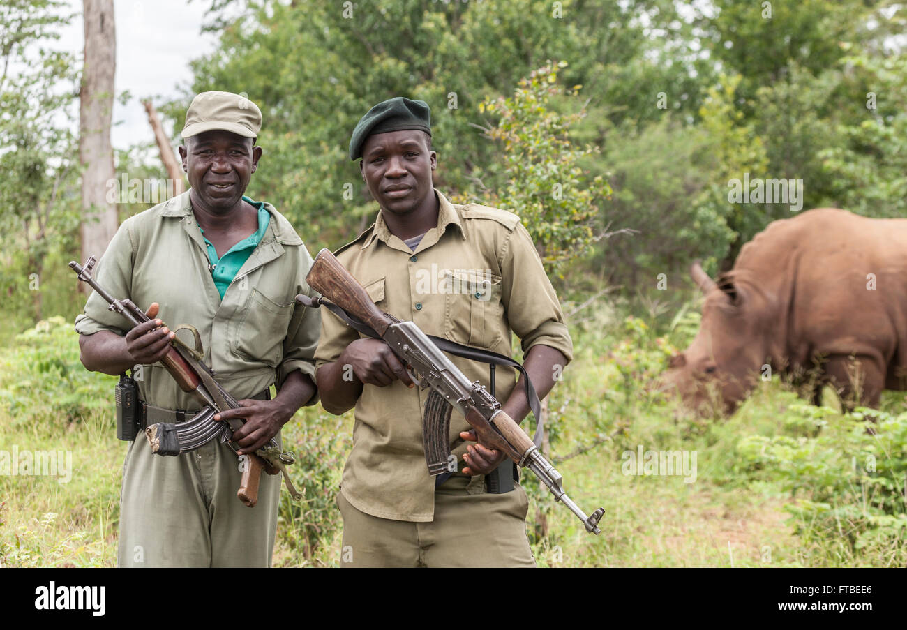 Armed wildlife rangers in Mosi-oa-Tunya National Park, Zambia, guarding ...