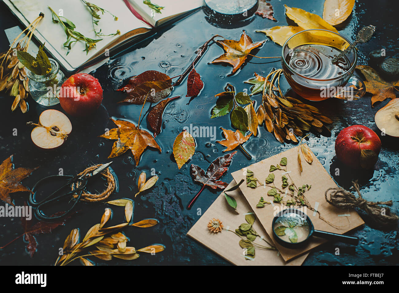 Scientist magnifying glass leaf hi-res stock photography and images - Alamy