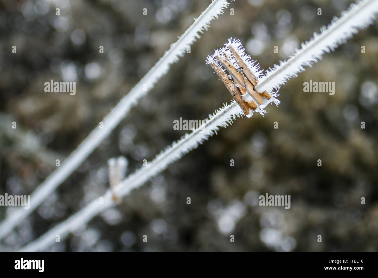 Frost on clothespin hi-res stock photography and images - Alamy