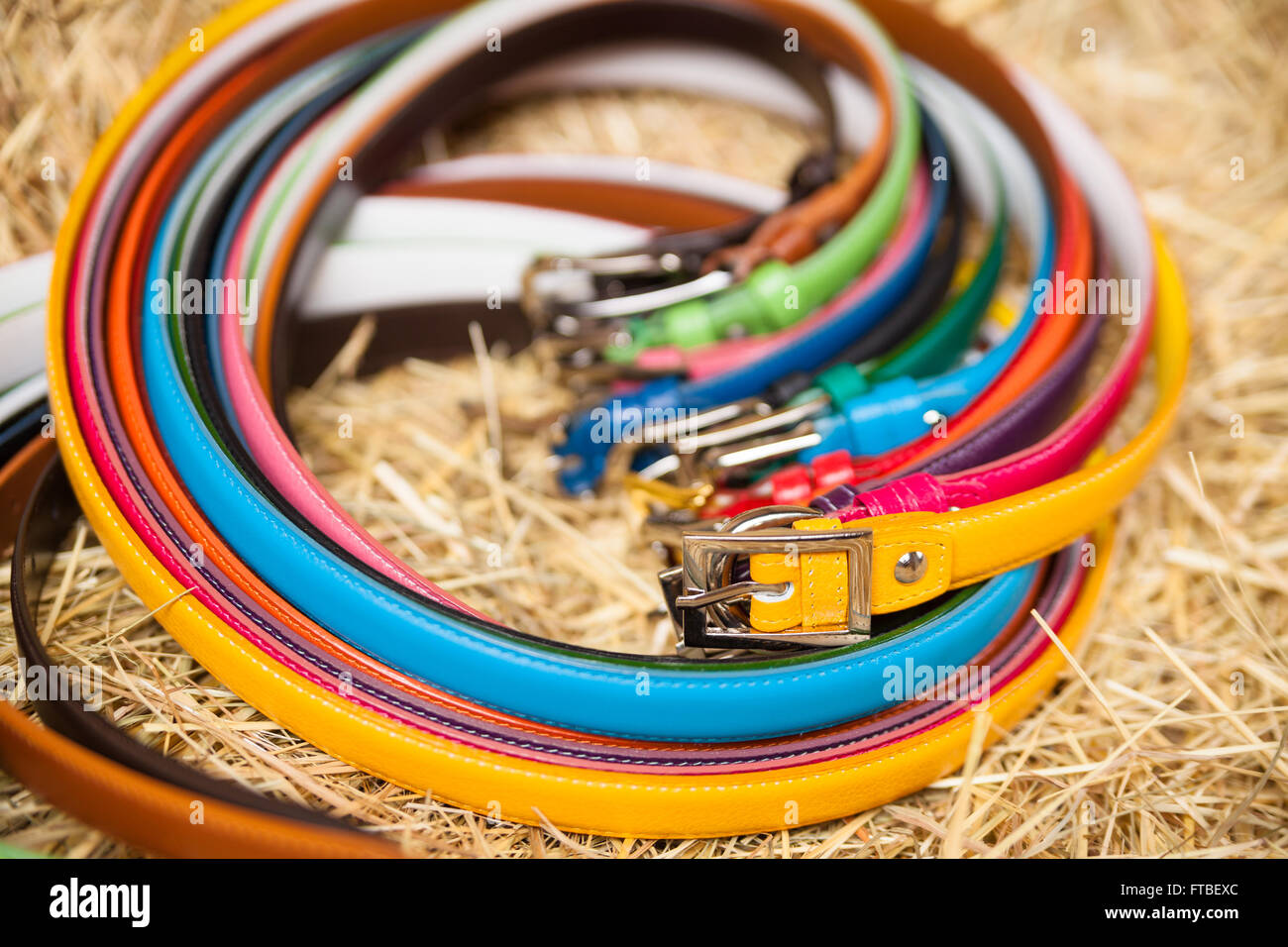 Ladies colored belts closeup Stock Photo - Alamy
