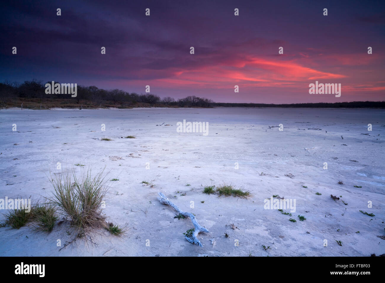 Willacy county hi-res stock photography and images - Alamy