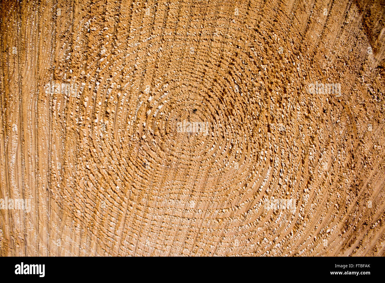 Abstract background is wood timber natural texture Stock Photo - Alamy