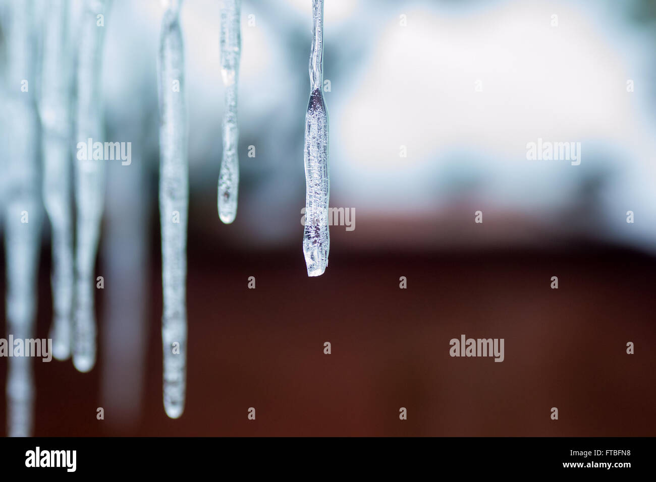 icicle frost ice melting snow cold temperature winte Stock Photo - Alamy