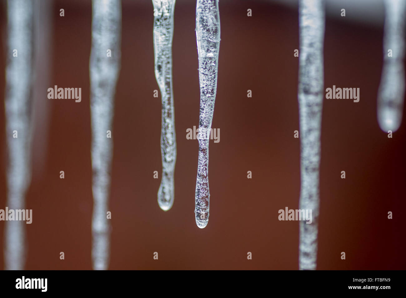 icicle frost ice melting snow cold temperature winte Stock Photo - Alamy