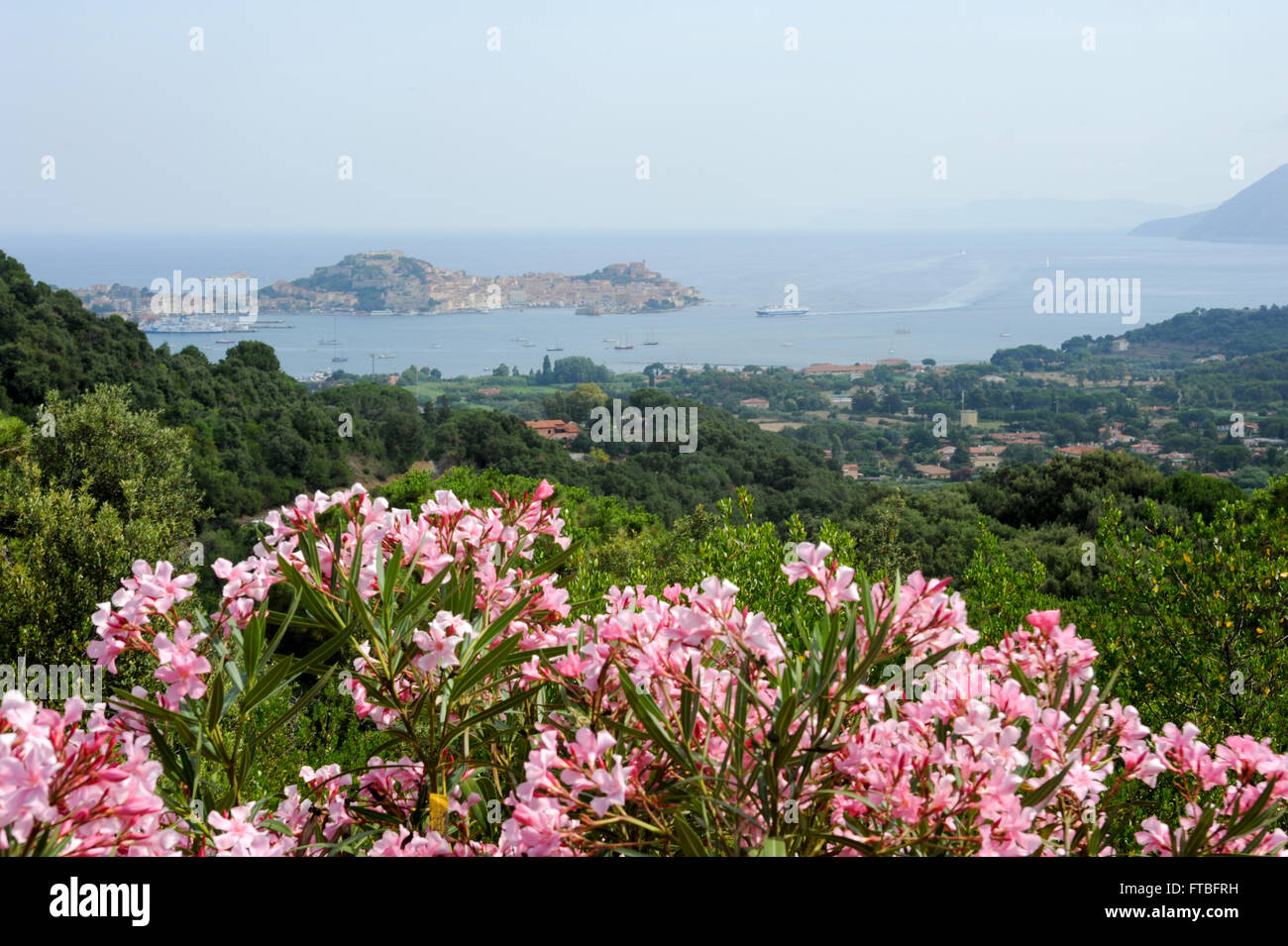 The coast of Portoferraio on Elba isalnd, Italy Stock Photo - Alamy