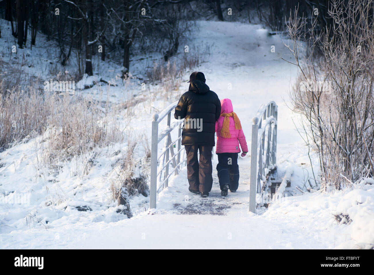 winter bridge city nature snow white forest season Stock Photo - Alamy