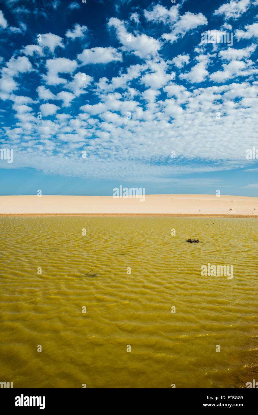 Pluvial lake in the dunes, Corralejo Dunes Natural Park, Corralejo ...