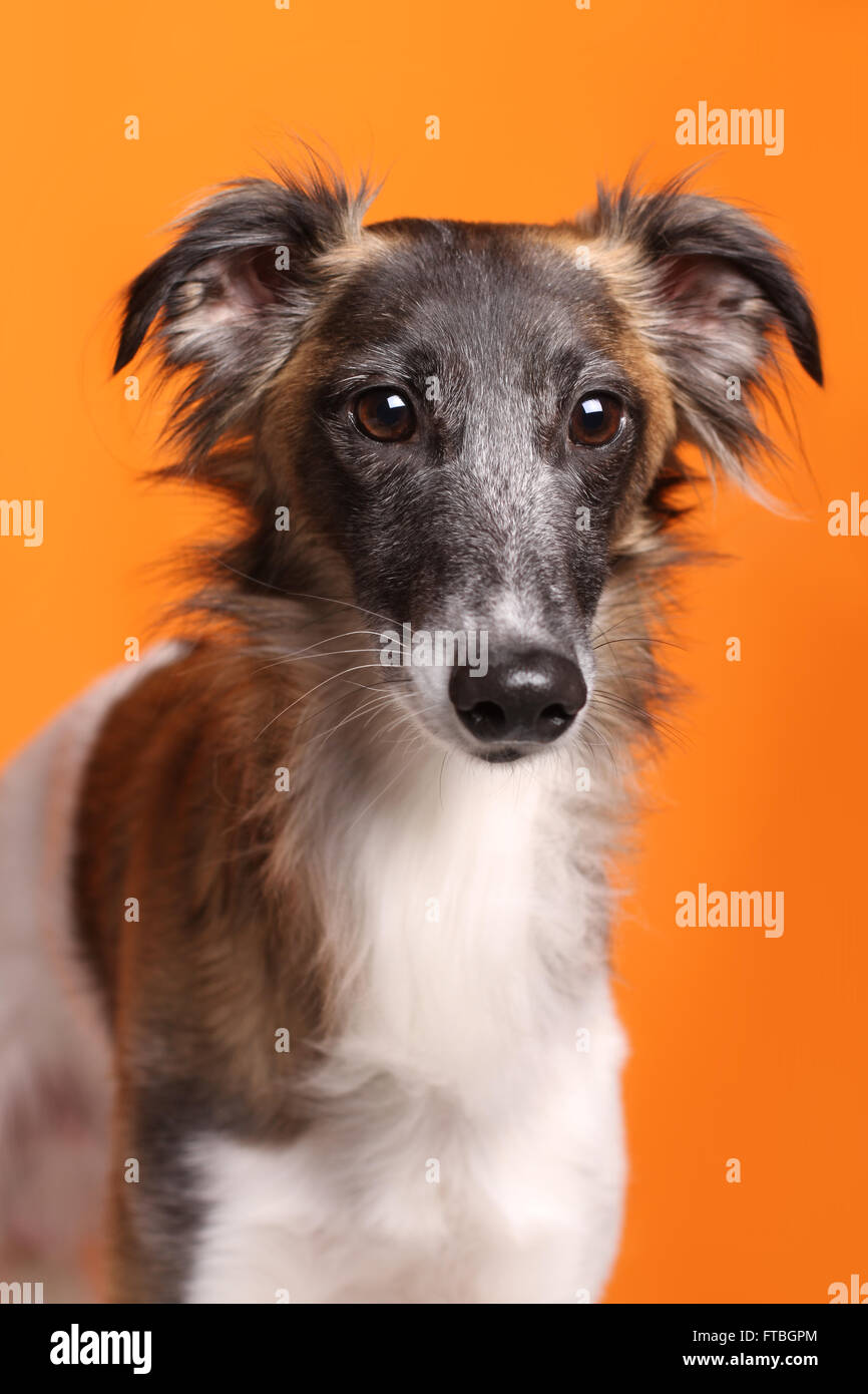 Windsprite hi-res stock photography and images - Alamy