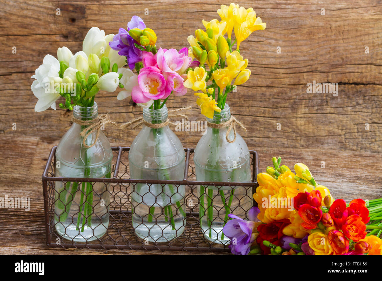 Freesias garden border hi-res stock photography and images - Alamy
