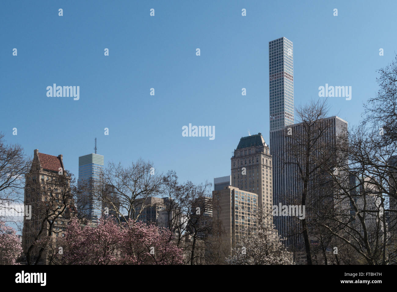 Springtime Trees in Central Park with Skyline in background, NYC Stock ...