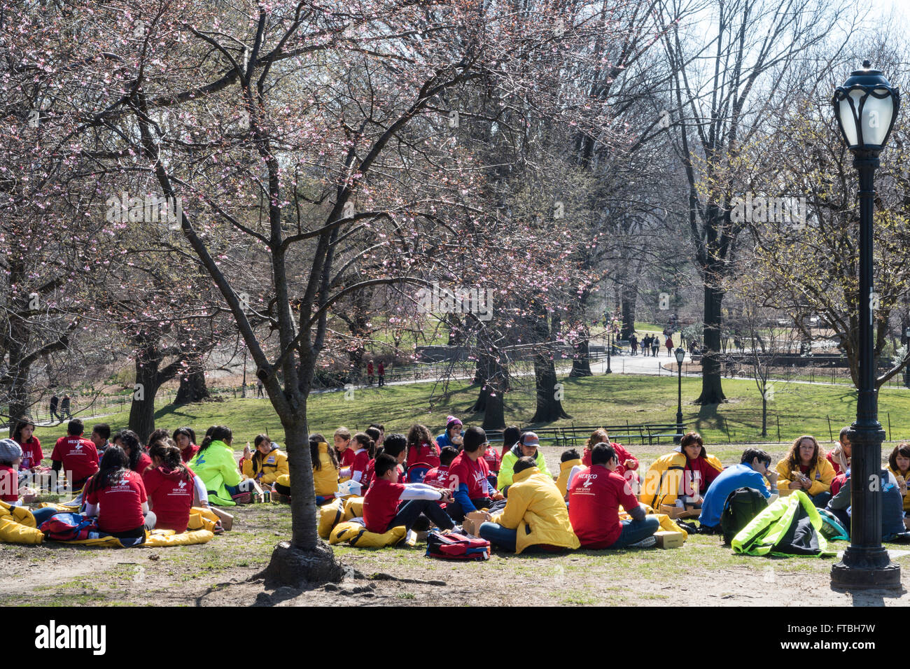High School Class Outing, Central Park, NYC, USA Stock Photo - Alamy