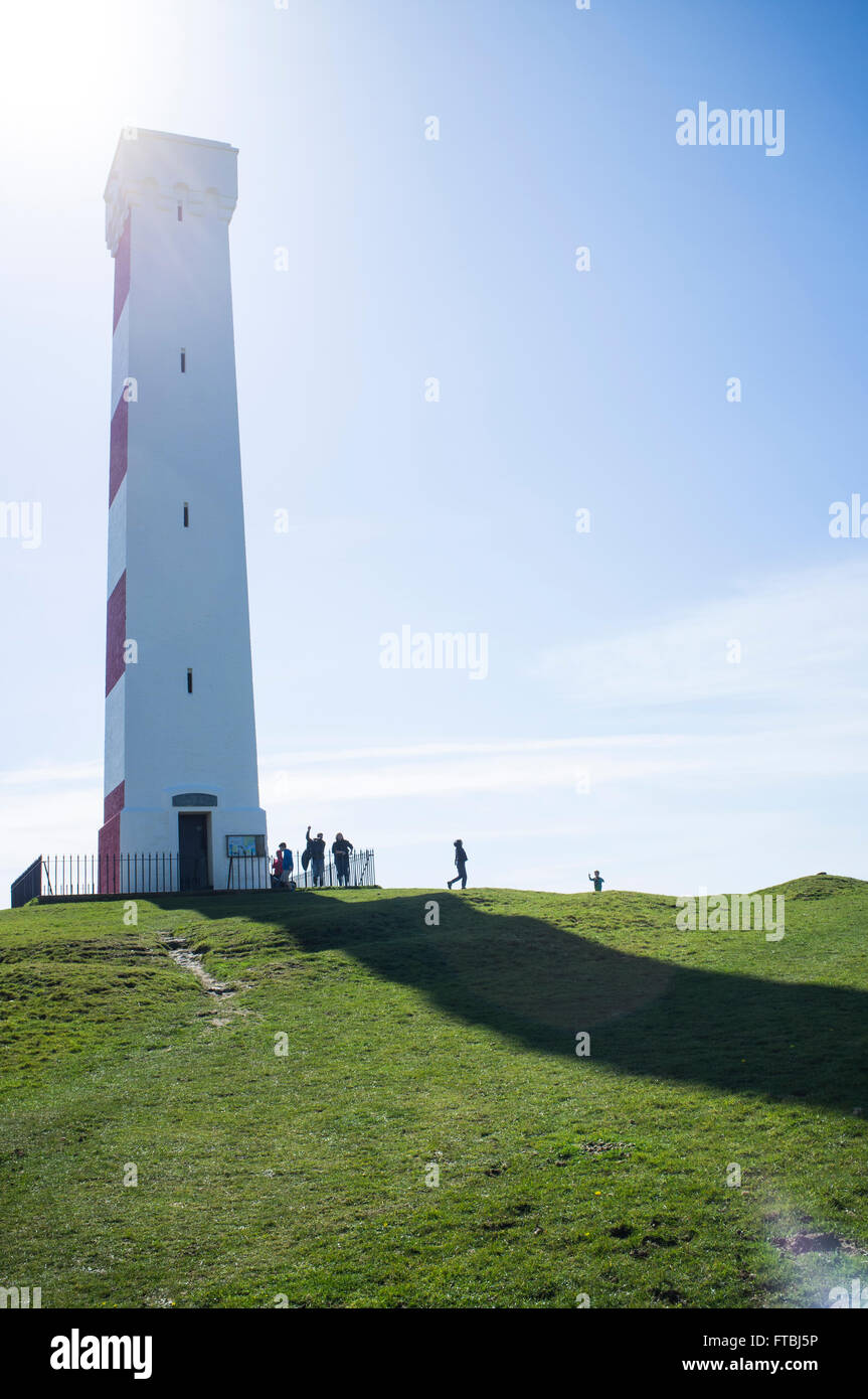 Gribbin gribben head hi-res stock photography and images - Alamy