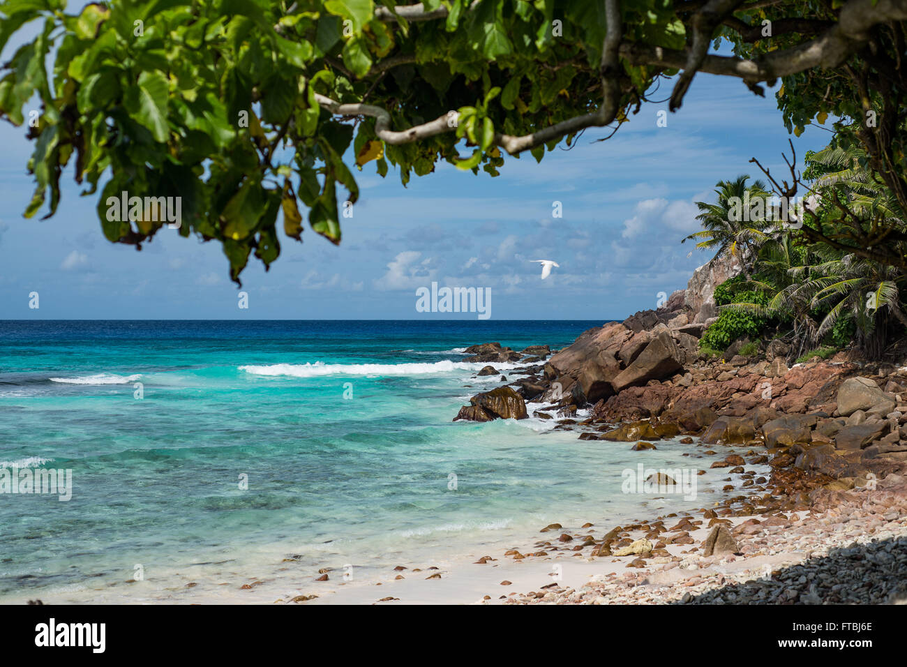 Beautiful clear water and scenery of the Seychelles Stock Photo - Alamy