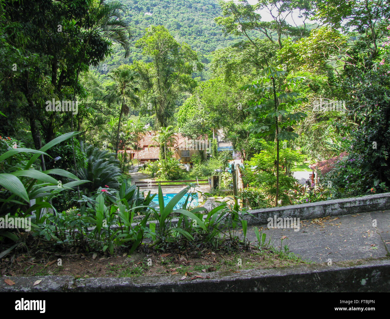 Beautiful tropical rainforest landscape in the middle of South America ...