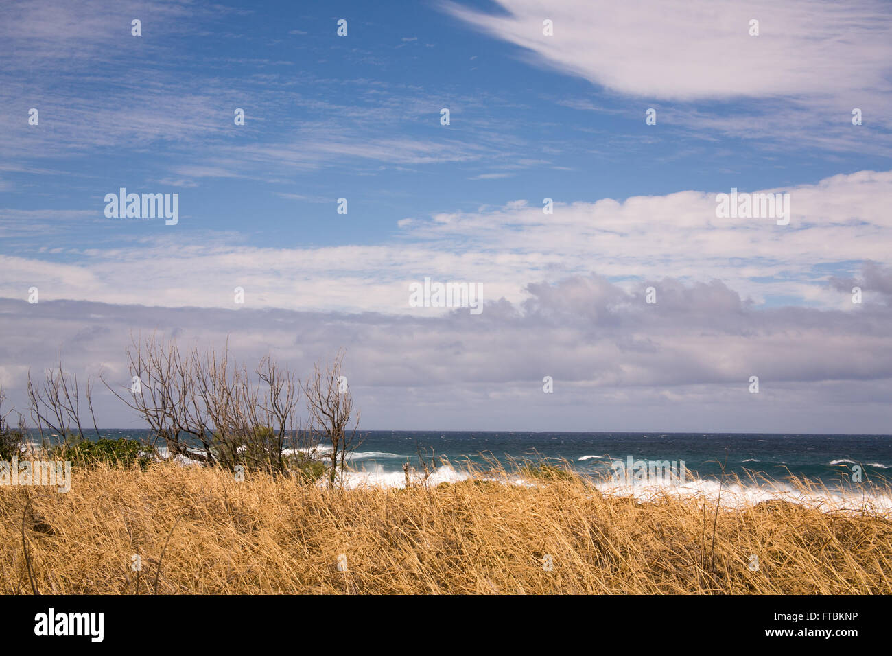 Shorefront hi-res stock photography and images - Alamy