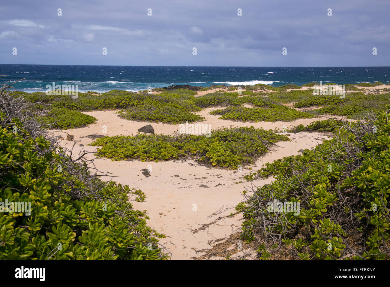 Sandy land at Kaena Point, Oahu, Hawaii Stock Photo - Alamy