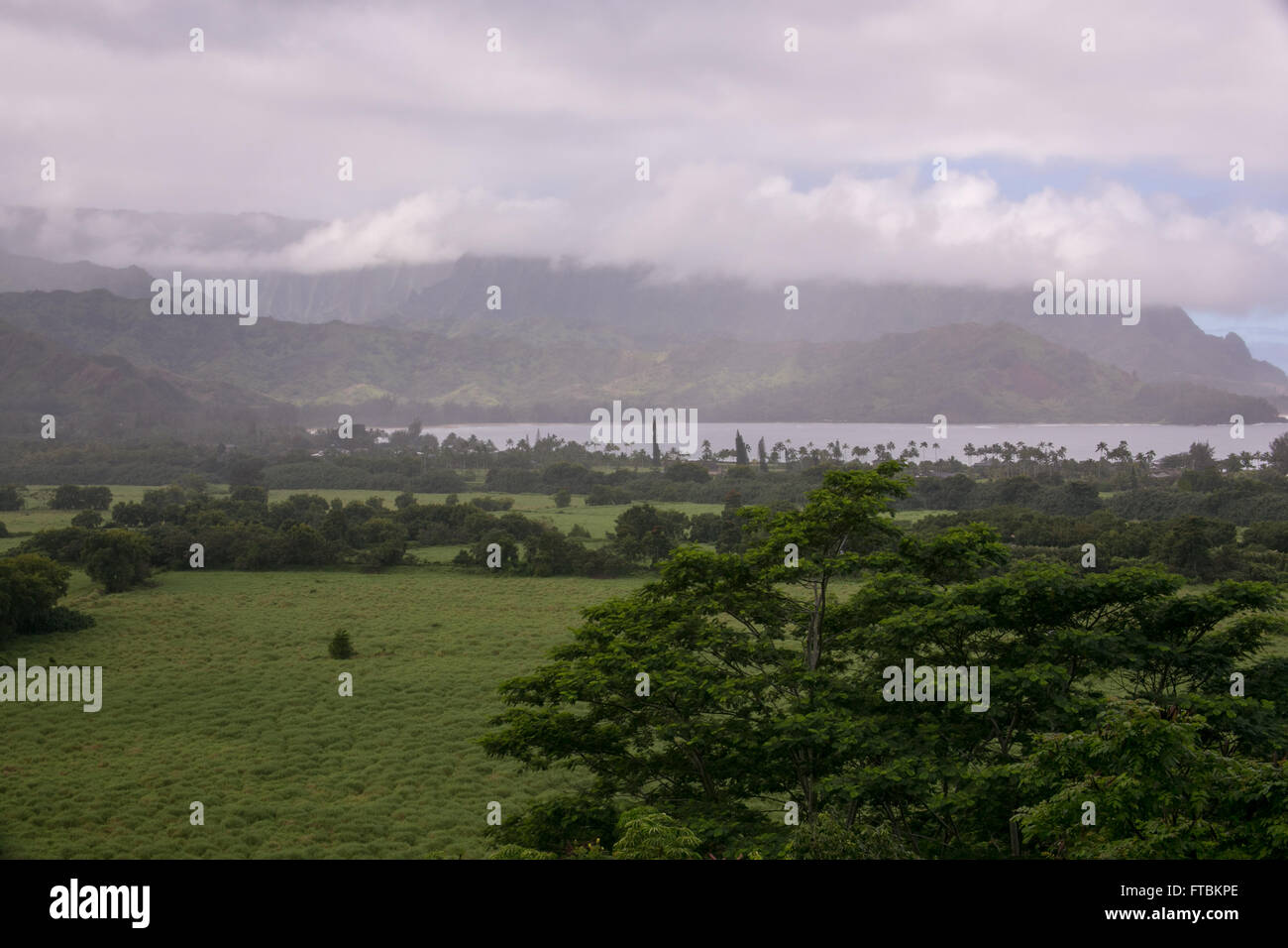 Foggy landscape, Kauai, Hawaii Stock Photo - Alamy