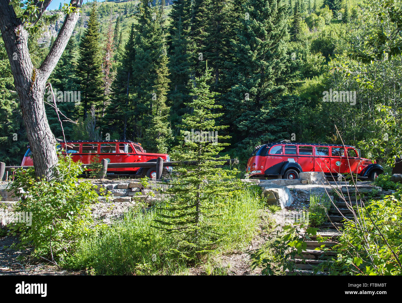 Famous Red Buses on tour at Glacier National Park, Montana Stock Photo ...