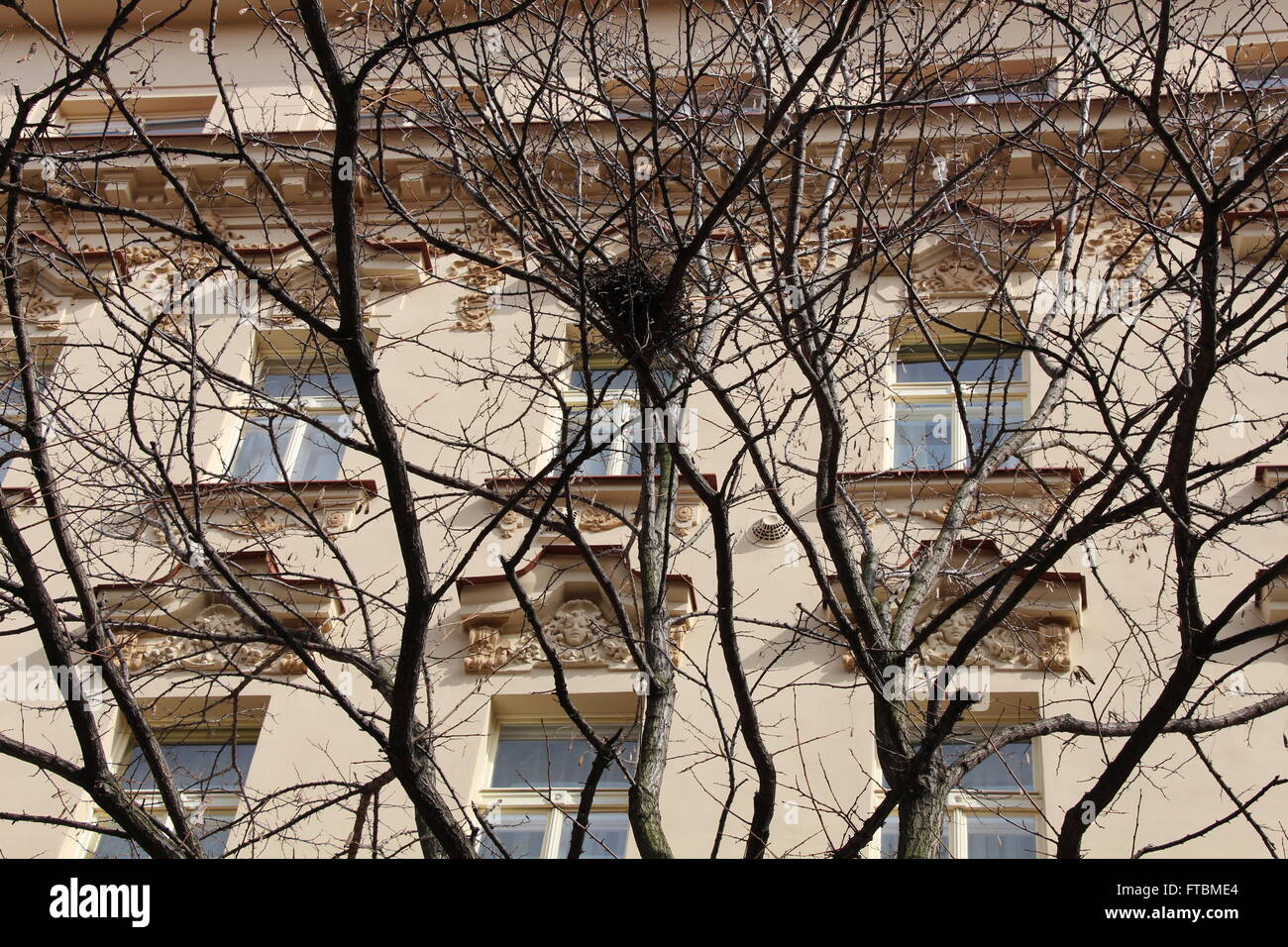 a bird nest up a tree in Vinohrady, a residential area of Prague, Czech ...