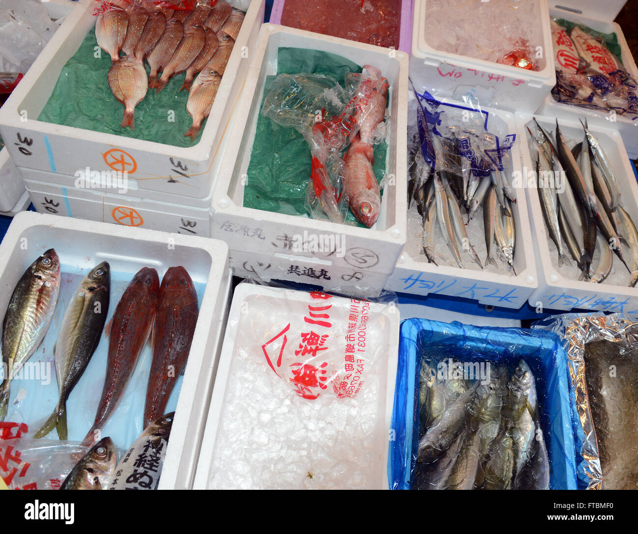 Seafood on display at the Tsukiji Fish market, Tokyo Japan Stock Photo ...