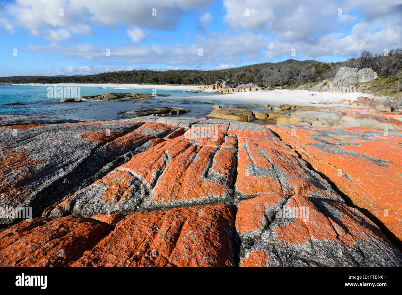 The Bay of Fire in Tasmania is made of orange lichen-covered granite ...