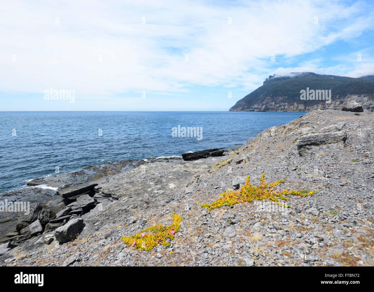 Fossil Cliffs, Maria Island National Park, Tasmania, Australia Stock ...