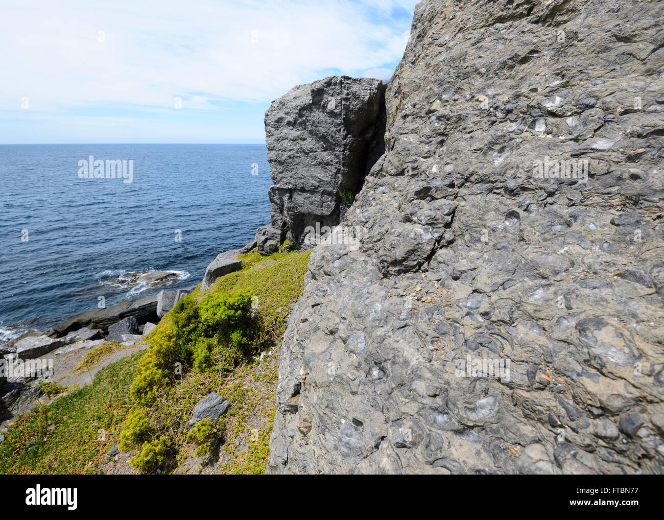 Fossil Cliffs, Maria Island National Park, Tasmania, Australia Stock ...