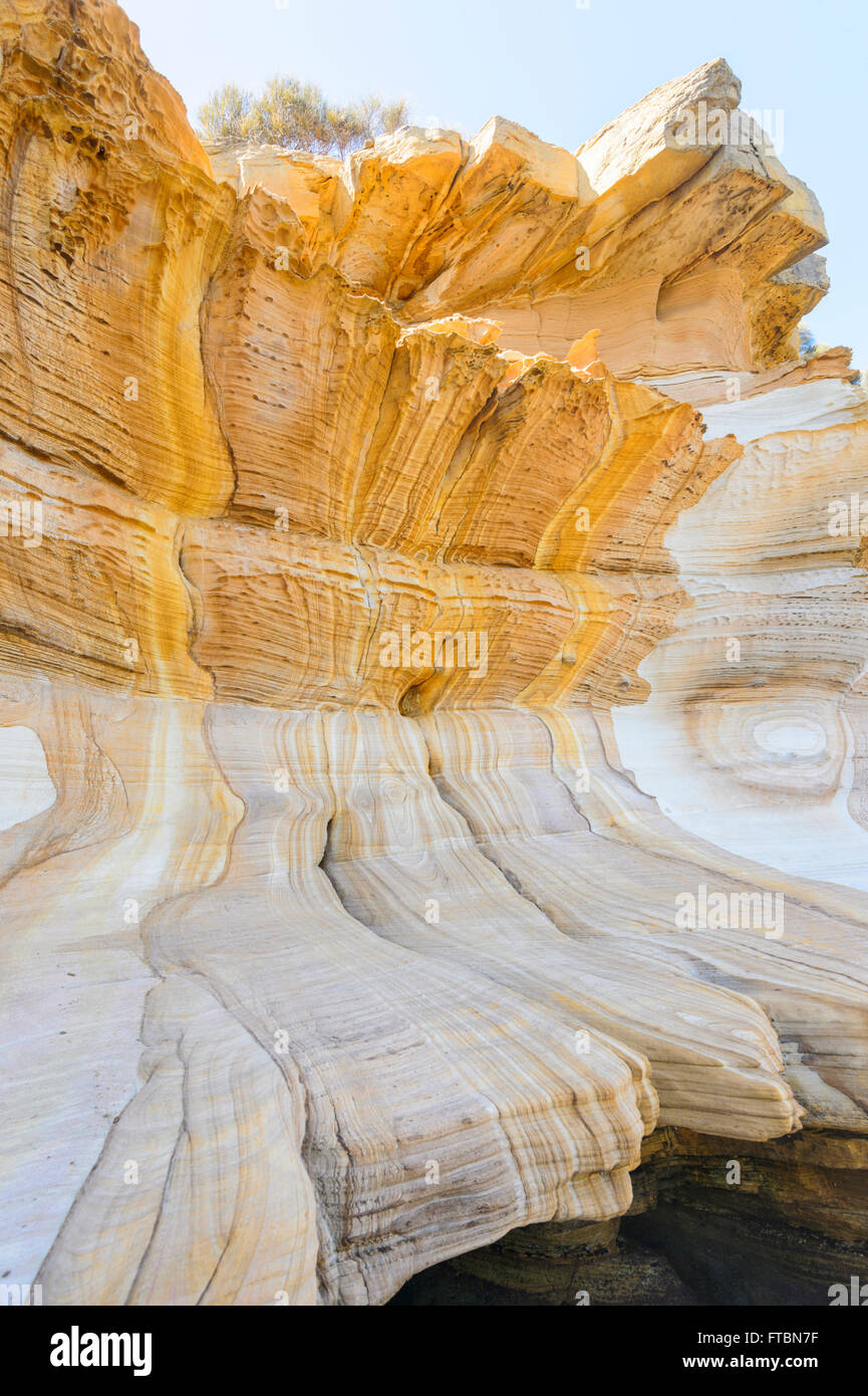 Painted Cliffs, Maria Island National Park, Tasmania, Australia Stock ...