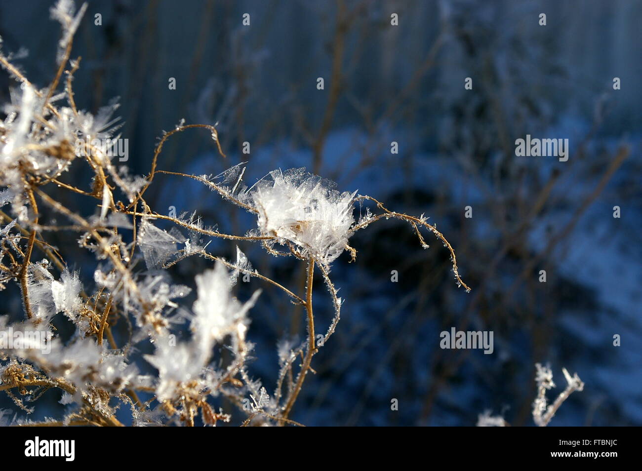 Flakes ice hi-res stock photography and images - Alamy