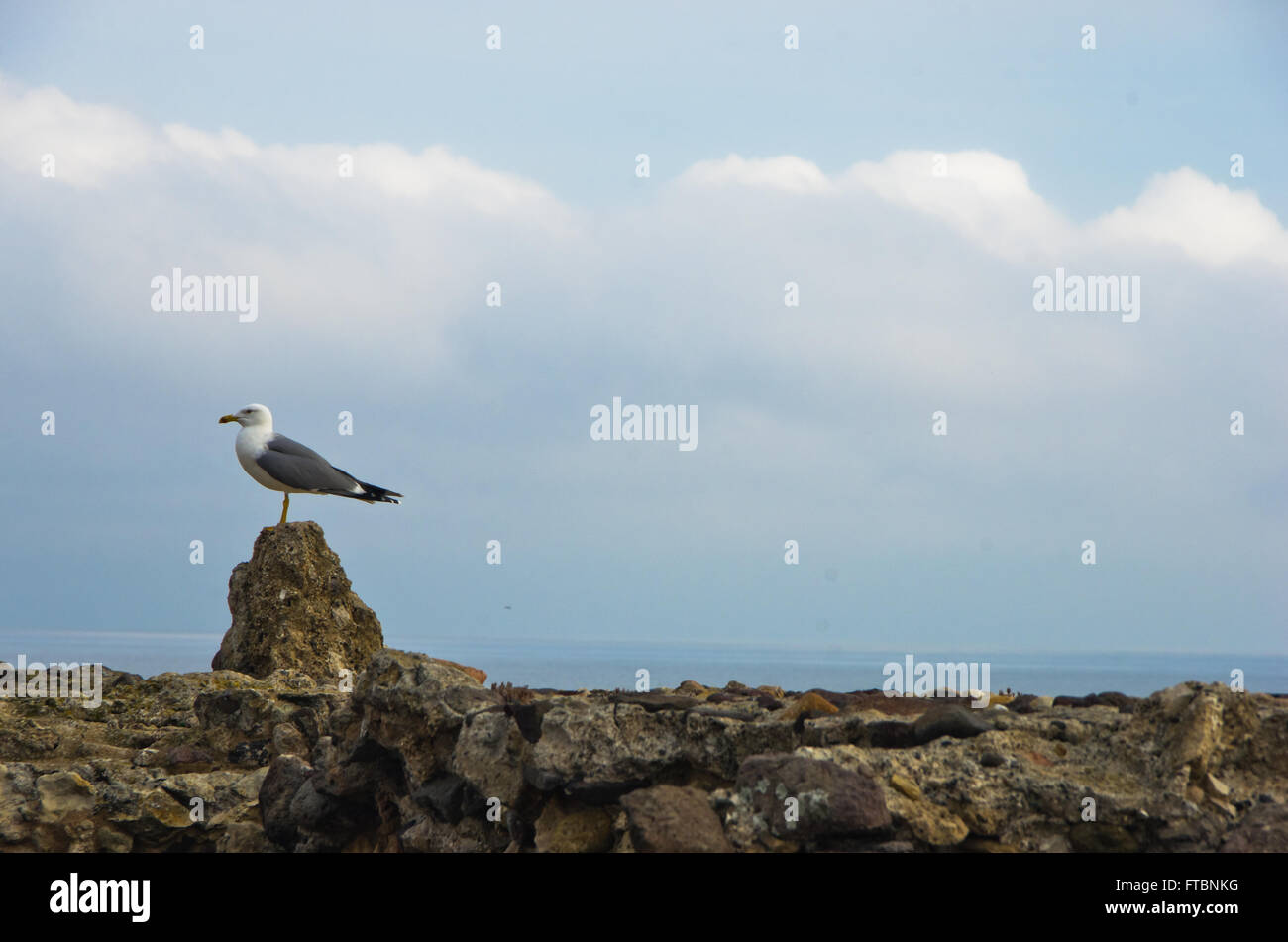 Beach at Nora archeological site, near city of Pula, island of Sardinia ...