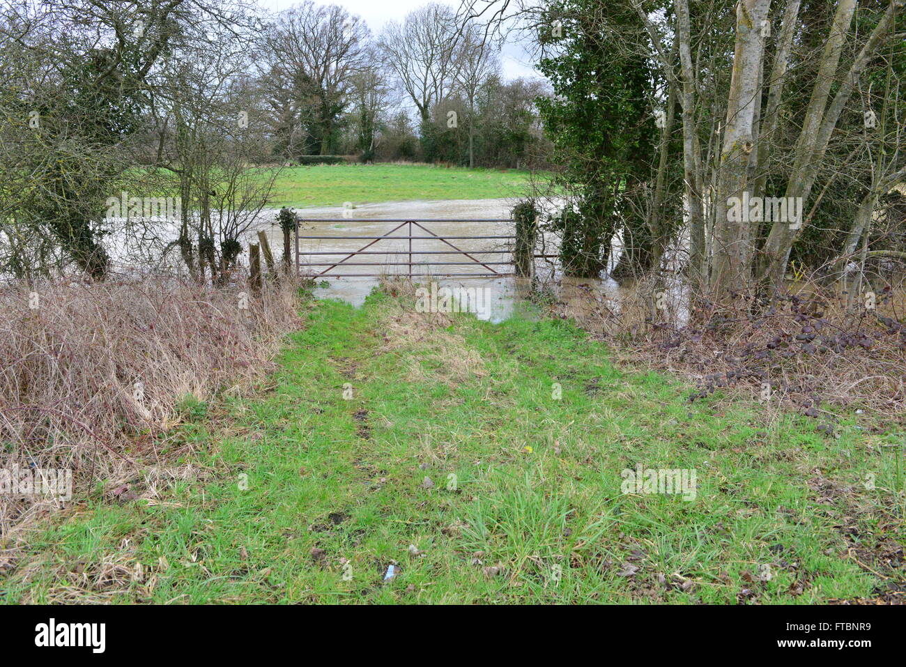 River Mole flooding its banks in Horley, Surrey after Storm Katie Stock ...
