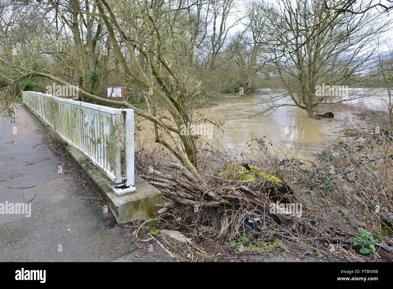 River Mole flooding its banks in Horley, Surrey after Storm Katie Stock ...