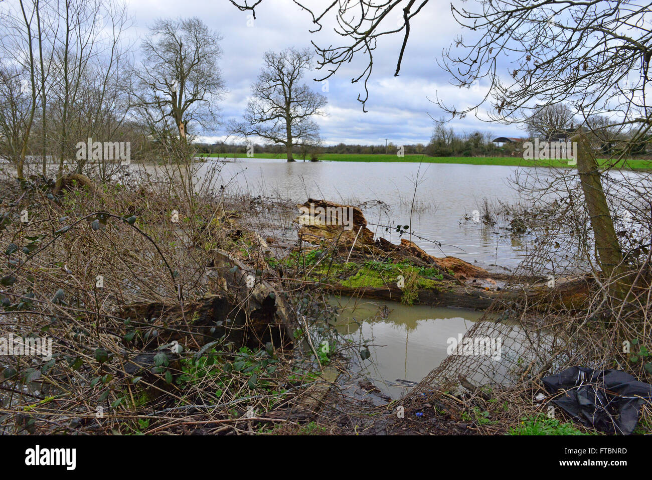 River Mole flooding its banks in Horley, Surrey after Storm Katie Stock ...