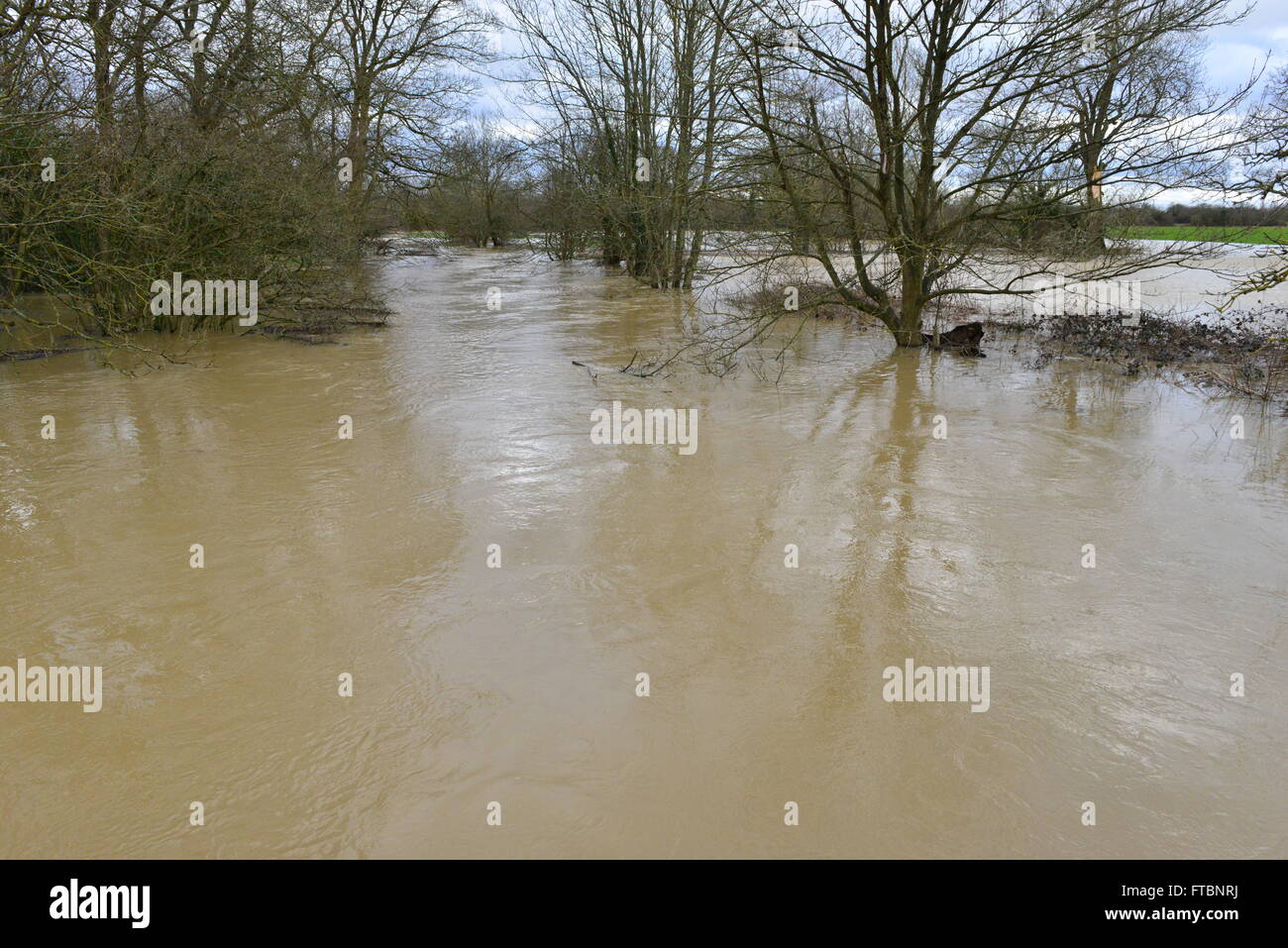 River Mole flooding its banks in Horley, Surrey after Storm Katie Stock ...