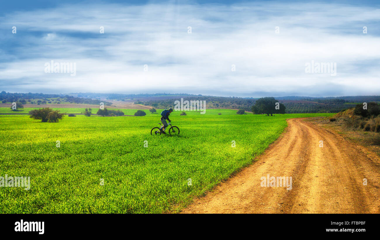 A man in full cycling gear road biking through wheat fields Stock Photo ...