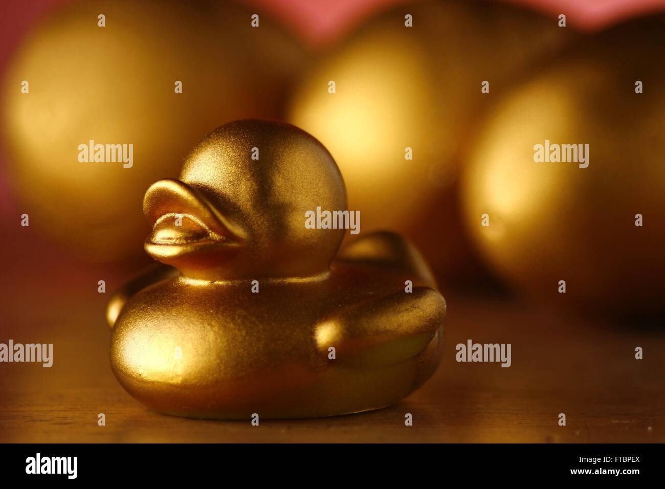 Golden eggs and golden duckling Stock Photo - Alamy