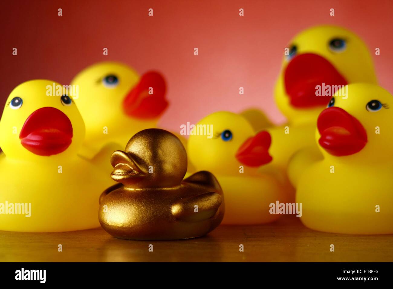 Rubber duckies and golden rubber duckling Stock Photo - Alamy