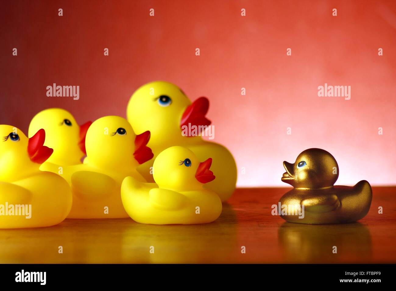 Rubber duckies and golden rubber duckling Stock Photo - Alamy