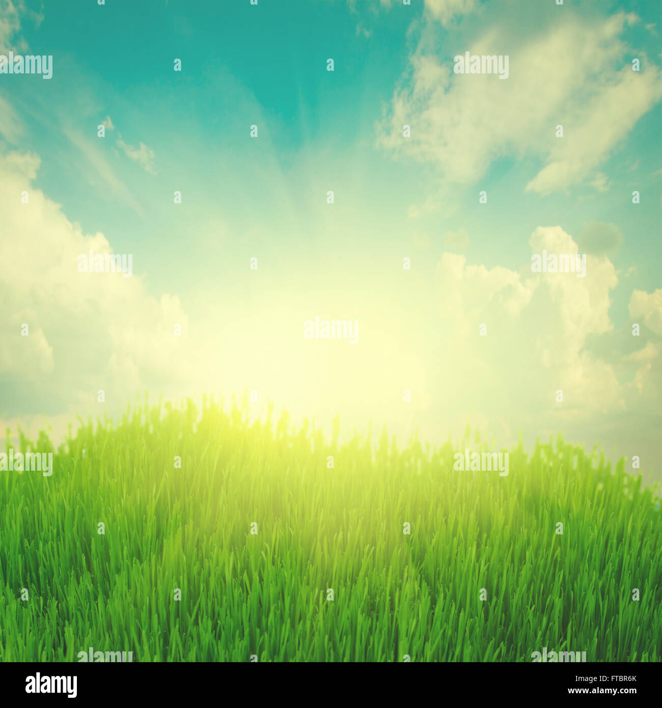 rising sun and green grass under blue sky Stock Photo - Alamy