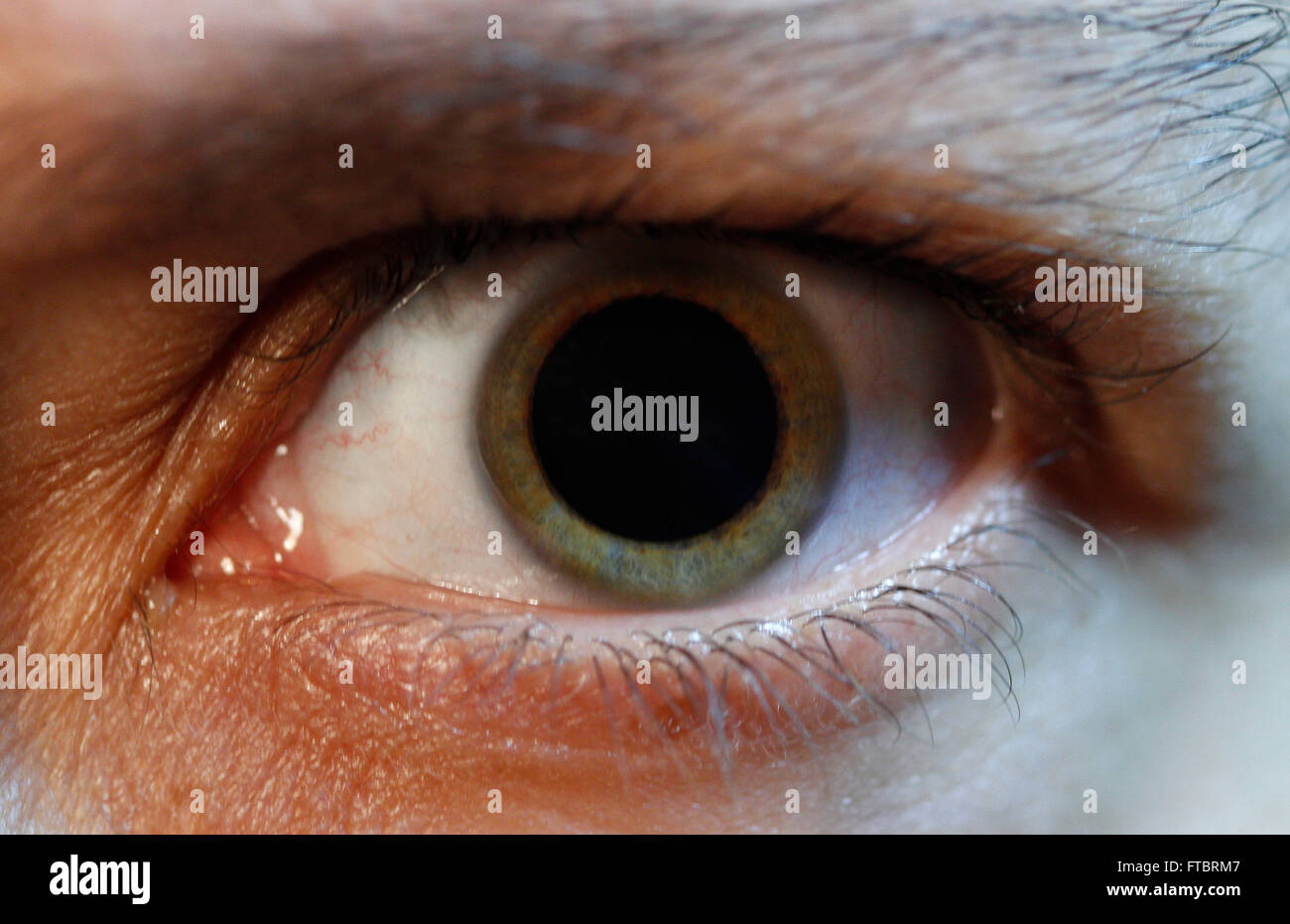 Pupil dilation hi-res stock photography and images - Alamy