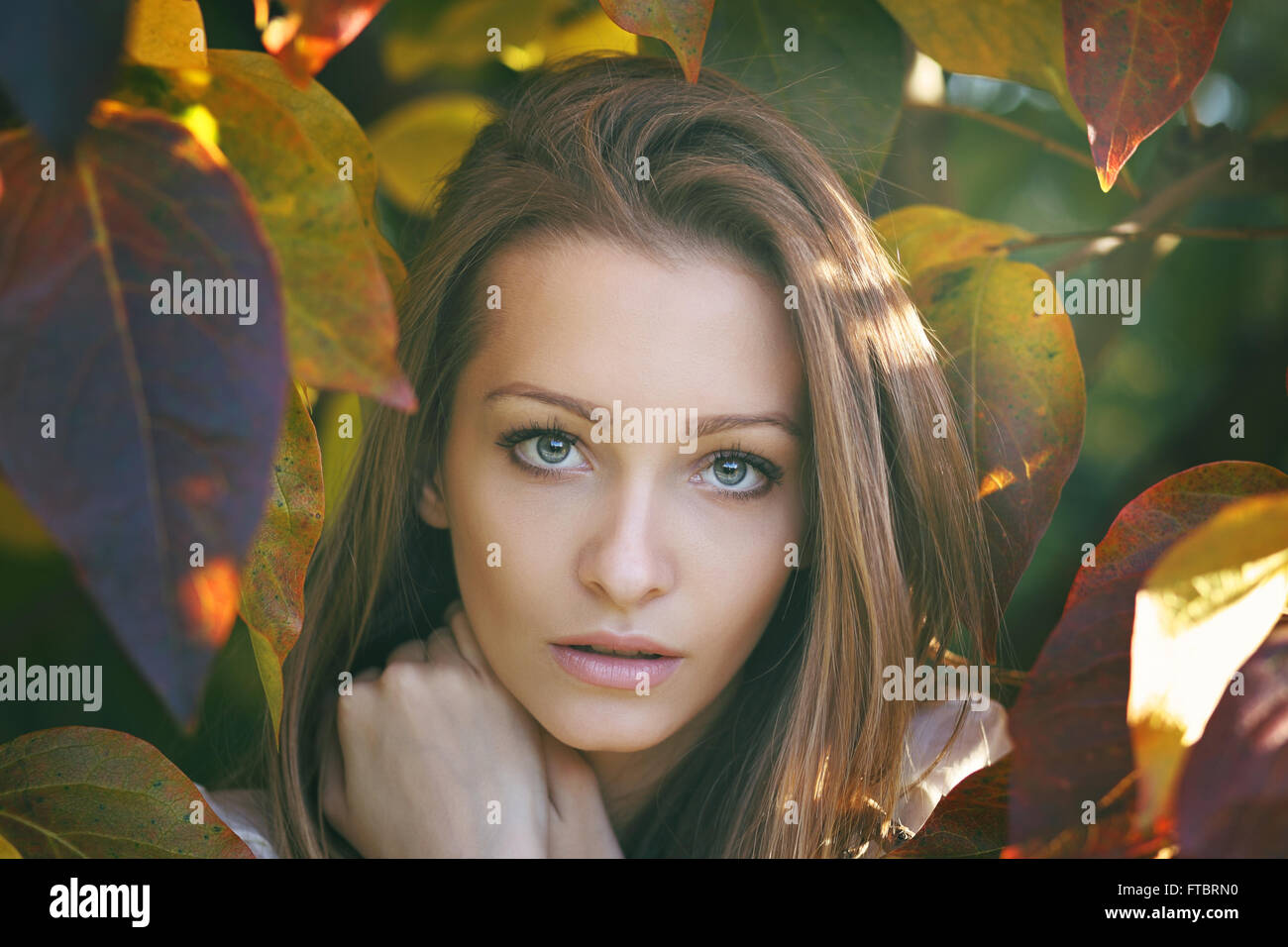 Beautiful young woman gaze . Autumn leaves portrait Stock Photo - Alamy