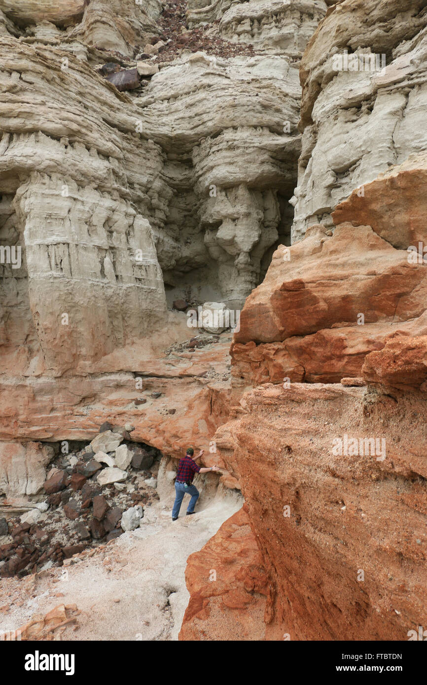 Cliffs and sandstone, tilted rock layers Red Rock Canyon State Park ...
