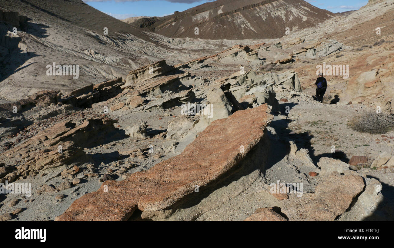 Cliffs and sandstone, tilted rock layers Red Rock Canyon State Park ...