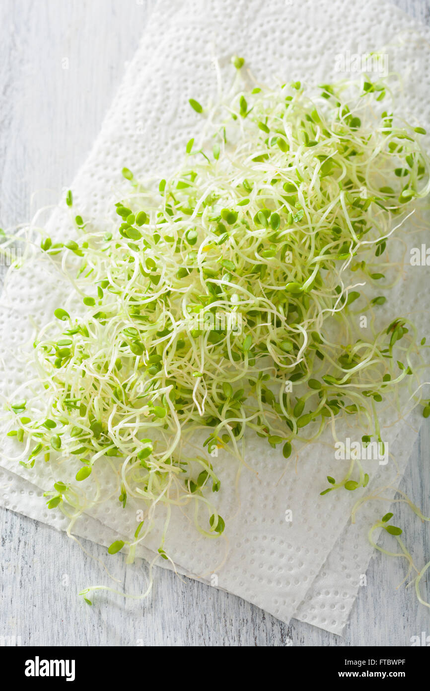 fresh clover sprouts healthy food Stock Photo - Alamy