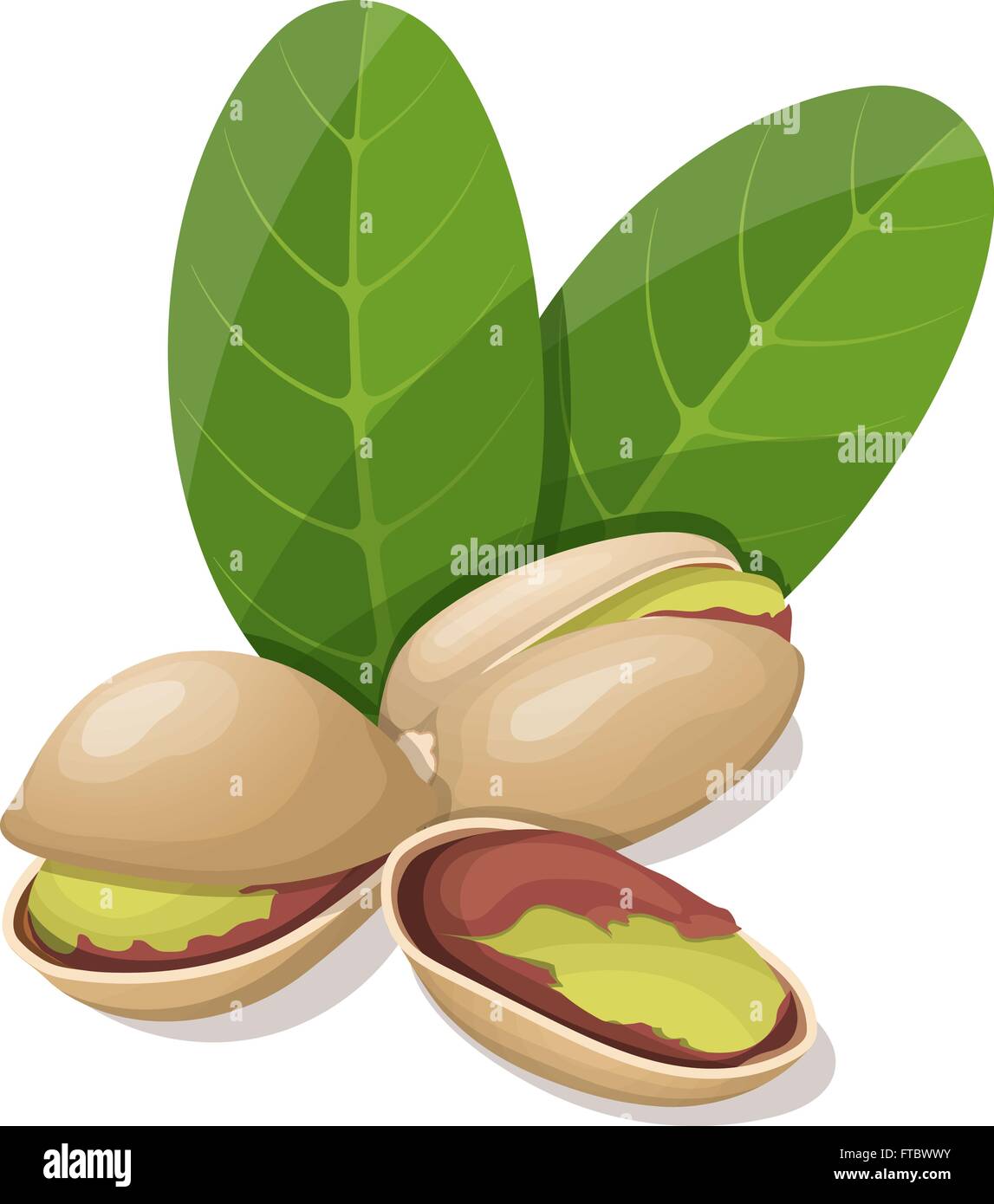 Pistachio tree drawing hi-res stock photography and images - Alamy