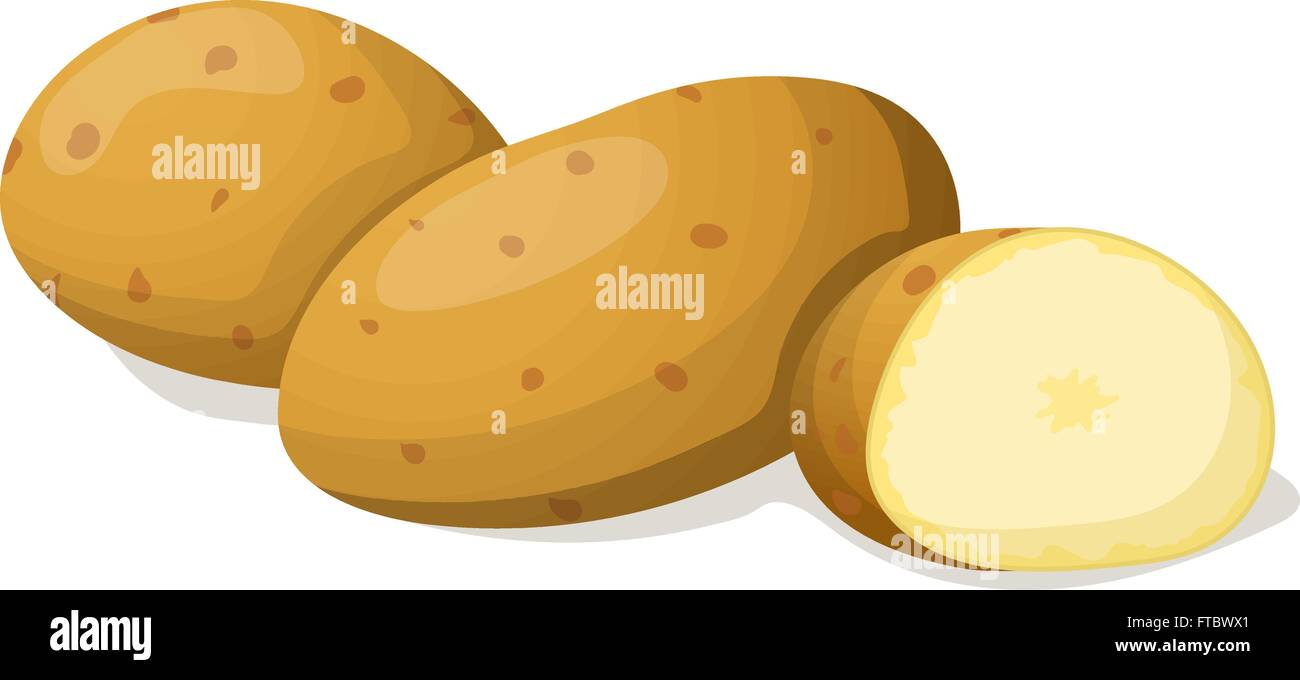 Potato isolated on white. Vector illustration Stock Vector Image & Art ...