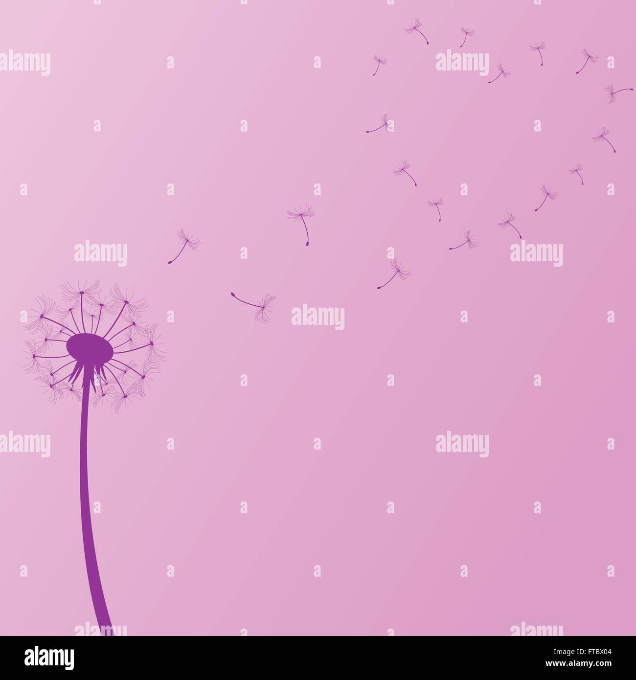 Dandelion Vector Illustration Stock Vector Image & Art - Alamy