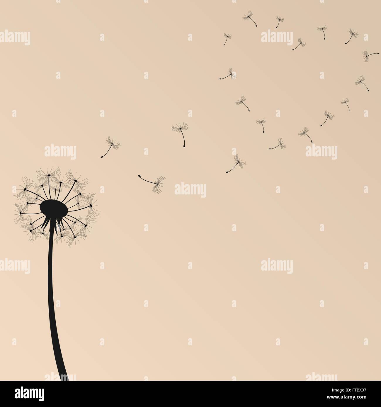 Dandelion Vector Illustration Stock Vector Image & Art - Alamy