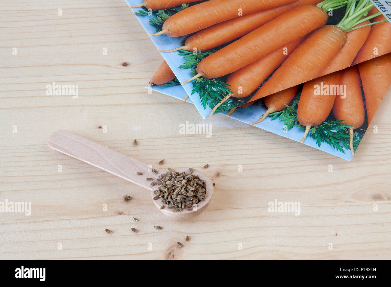 Growing carrot seeds hi-res stock photography and images - Alamy