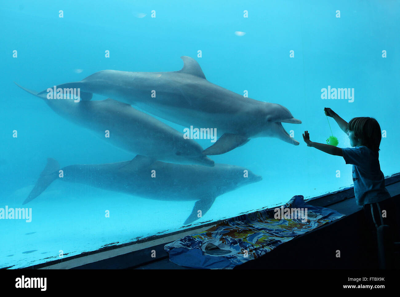 National aquarium of cuba hi-res stock photography and images - Alamy
